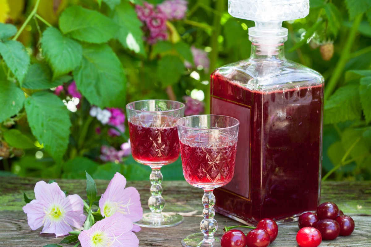 Vino di Visciole: Tradizione e Gusto dalle Marche - Ristorante Cavaliere